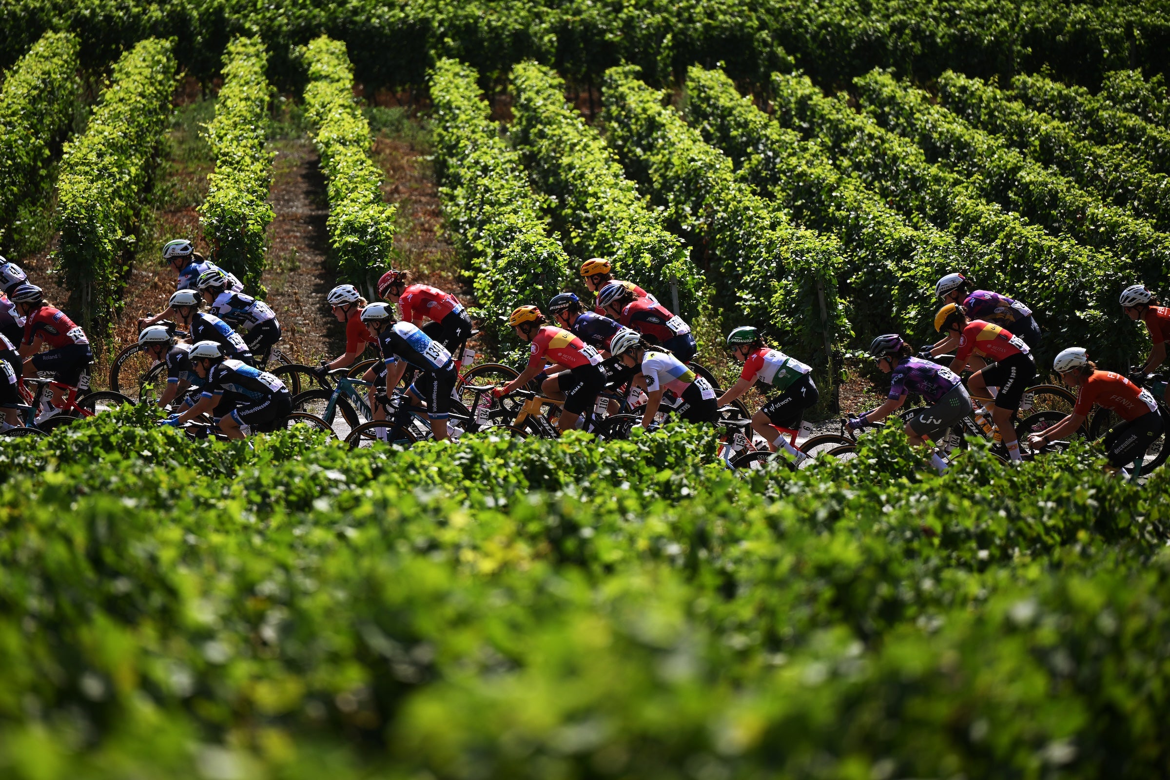 Portuguese Football Team Suspended: Blood Passport Scandal - News ...