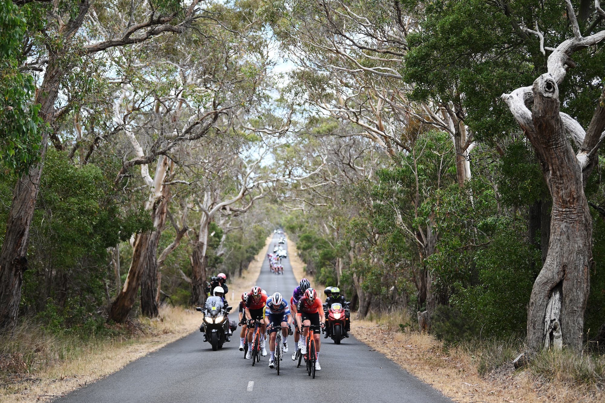 Australian Bike Races Canceled Due to Extreme Bushfire Risk